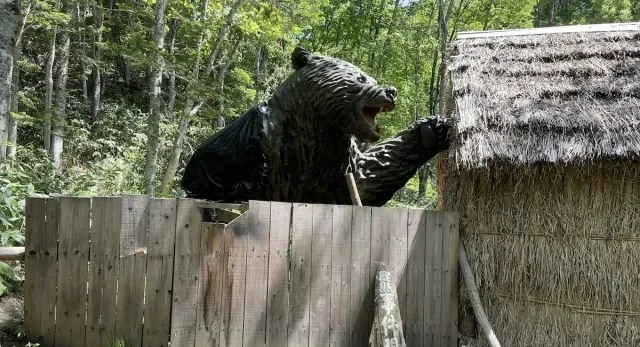 Man-Eater Monday: The Sankebetsu Brown Bear Incident – The blog of ...